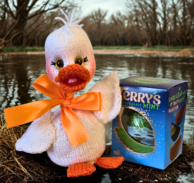 Ravelry: Quackers - Chocolate Orange Cosy/Softie pattern by Mandi Wilson