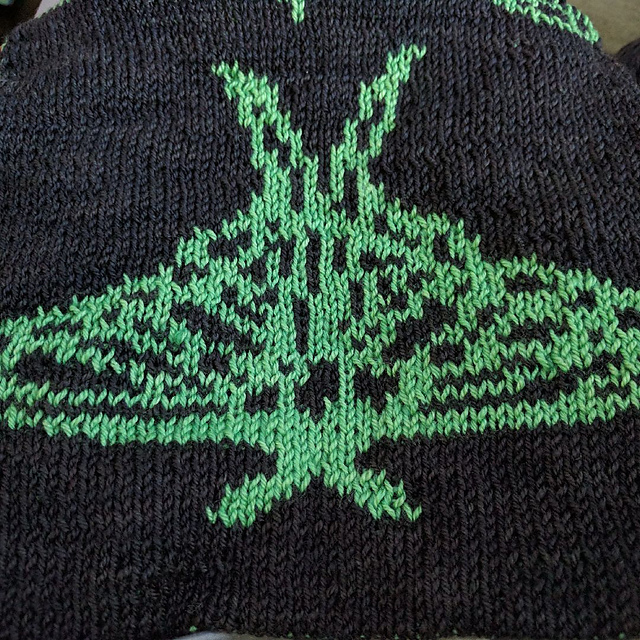 Ravelry: Spanish Luna Moth Scarf pattern by Tania Richter