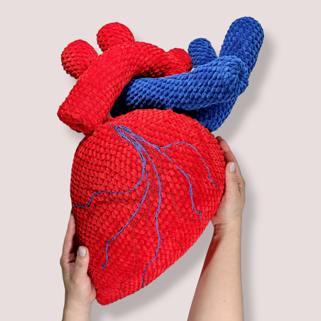 Ravelry: Soft toy Anatomical Heart pattern by Allat