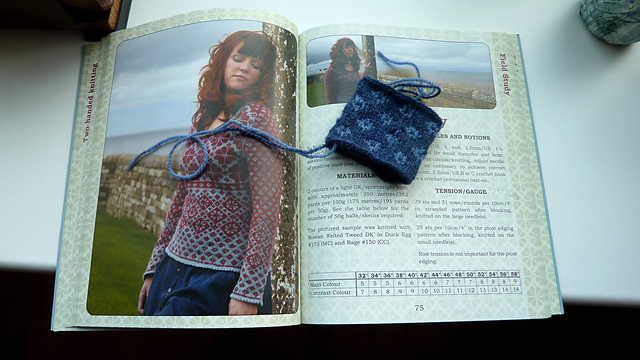 Ravelry: Anggerek's wedgwood