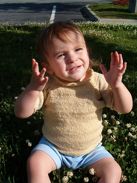 Ravelry: Medieval Baby Sweater pattern by Anne DesMoines