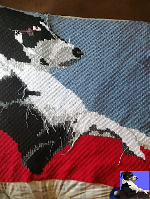 Ravelry: jack russel 2 pattern by katrina oldham