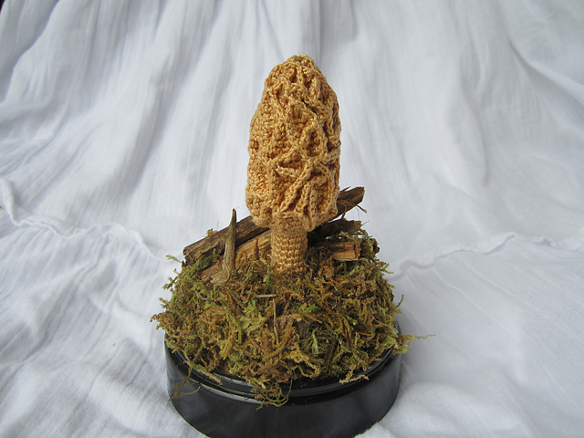 Ravelry: Morel Mushroom pattern by LeAnne Douglas