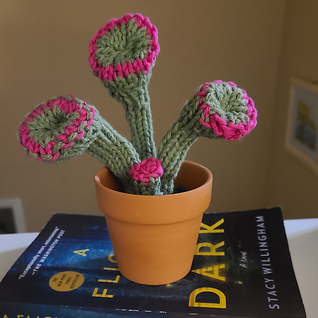 Ravelry: Finger Jade Succulent pattern by Anne de Silva