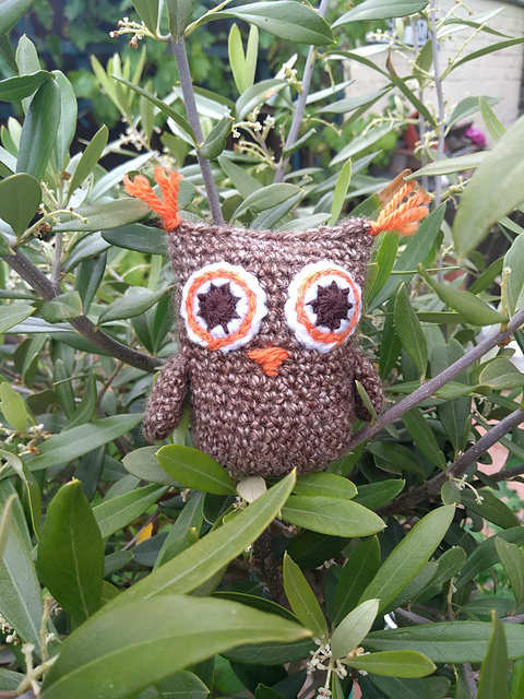 Ravelry: Sprout the Owl pattern by Sam Osmond