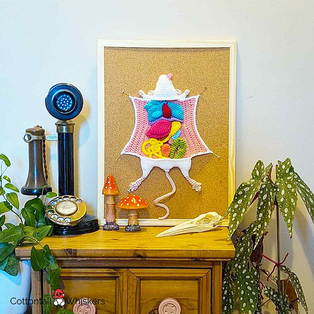 Ravelry: Rat Dissection pattern by Bea King