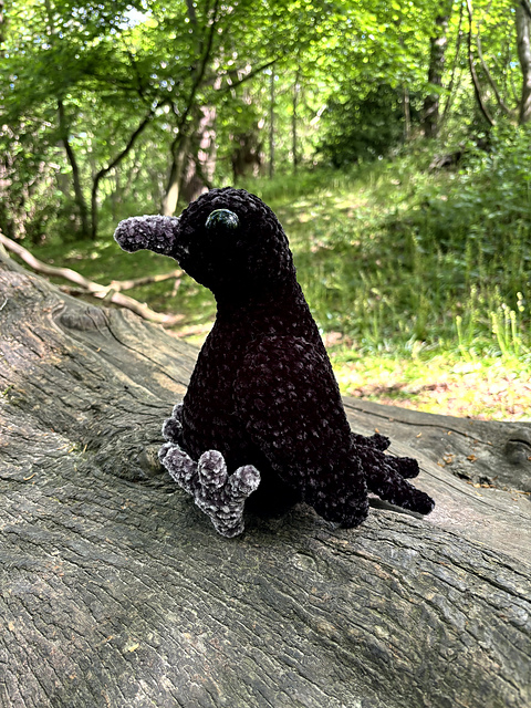 Ravelry: Poe the chubby crow pattern by Bea McDonald