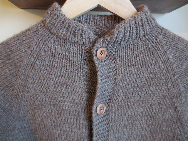 Ravelry: dorteknits' Professor's Cardigan