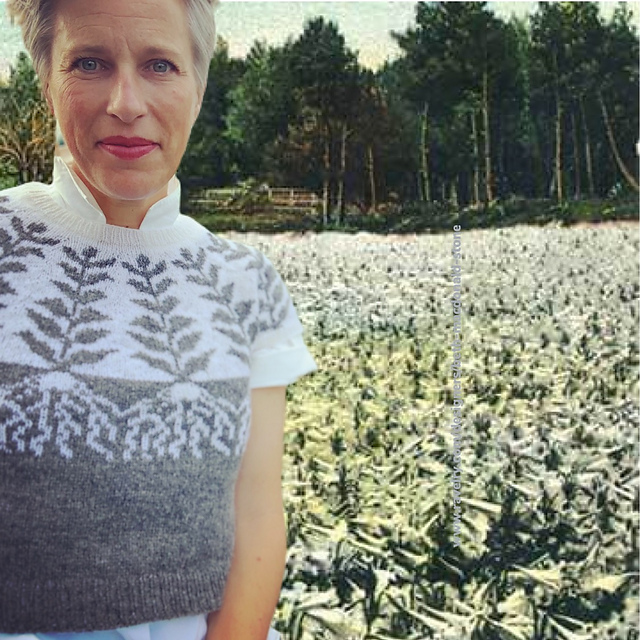 Ravelry: Hope Springs Eternal pattern by Beth MacDonald Stone