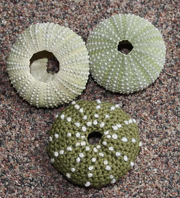 Ravelry: Sea Urchins pattern by CAROcreated design