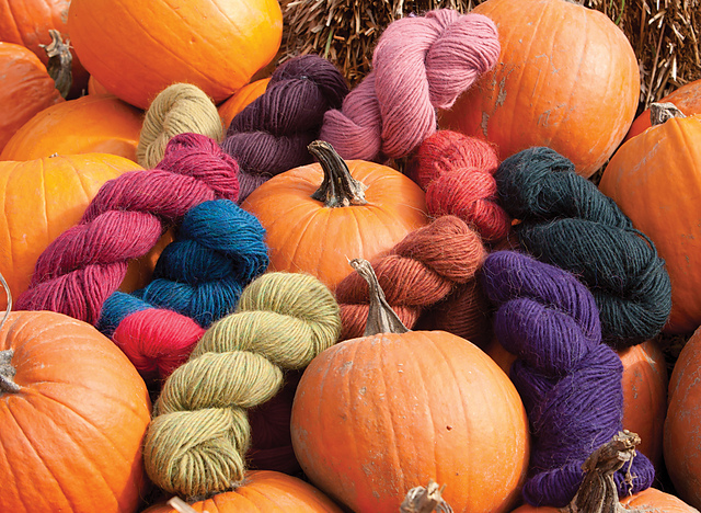 Ravelry: Classic Elite Yarns Montera