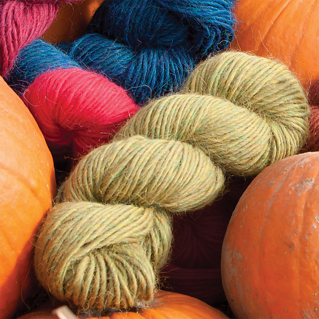 Ravelry: Classic Elite Yarns Montera