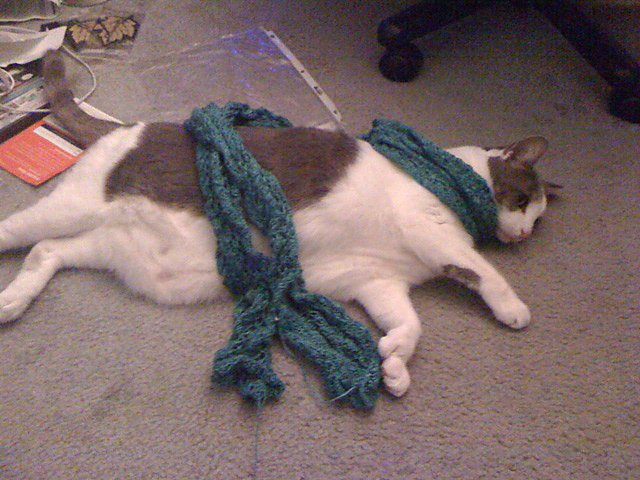 Ravelry: Calophi's Strangle Me Please Scarf