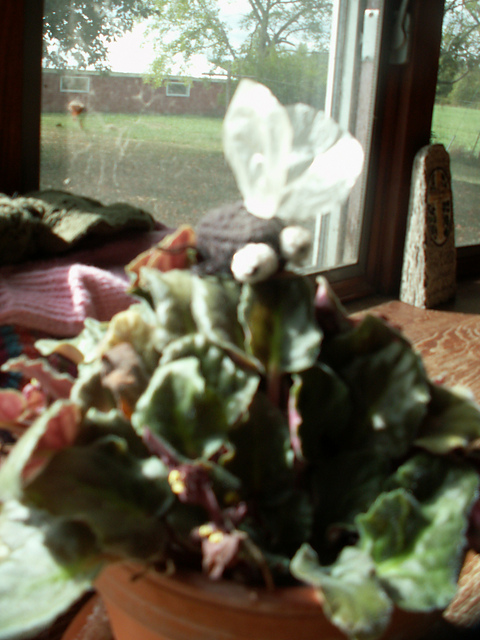 Ravelry: Fly for the Venus Fly Trap Finger Puppet pattern by Mad ...