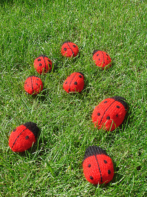 Ravelry: Knitted Ladybird pattern by Joelle Finck
