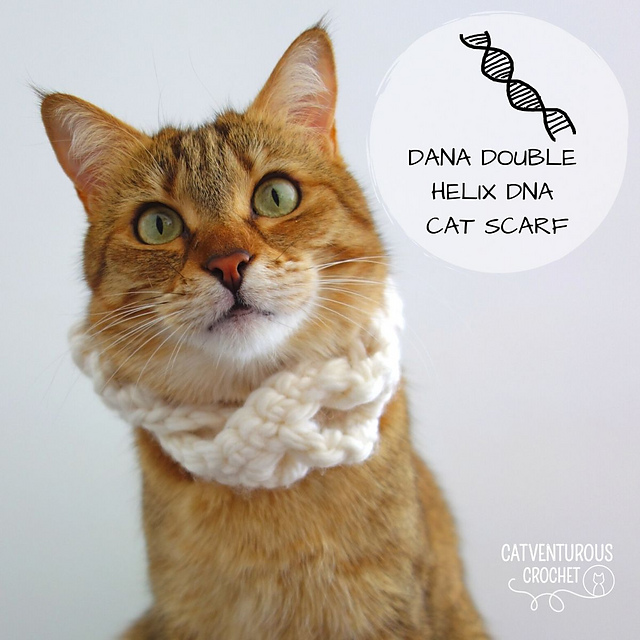 Ravelry: Dana Double Helix DNA Cat Scarf pattern by Charlotte Aimee