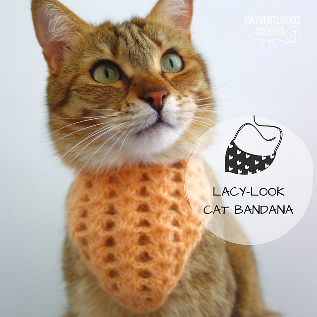 Ravelry: Lacy-Look Cat Bandana pattern by Charlotte Aimee
