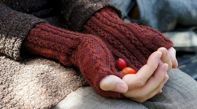 Ravelry: Rosehip pattern by Cello Knits