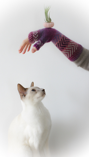 Ravelry: from the Zig to the Zag pattern by Cello Knits