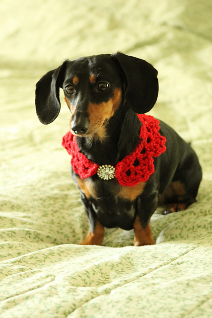 Ravelry: Lacy Dog Collar pattern by Jennifer E. Ryan