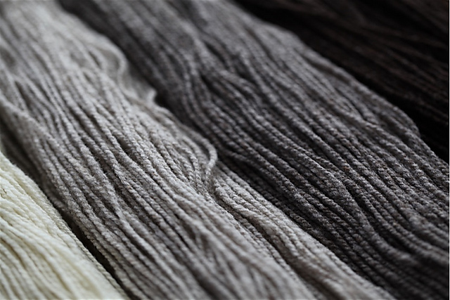 Ravelry: Clara Yarn CVM/Romeldale 2.0