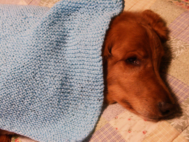 Ravelry: Adopt-Me Blanket pattern by Betty Christiansen