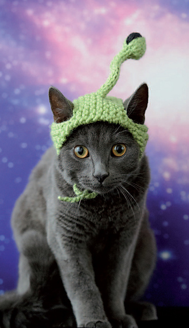 Ravelry: Alien Cat Hat pattern by Sara Thomas