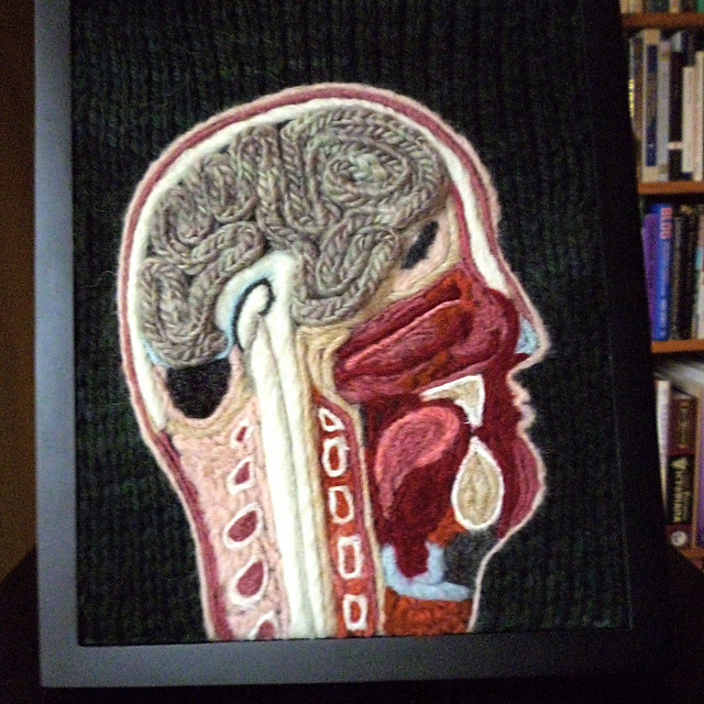 Ravelry: CraftyHedgehog's Bisected Human Head