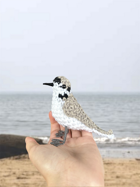 Ravelry: Snowy Plover Bird Amigurumi pattern by CrochetCartel Co