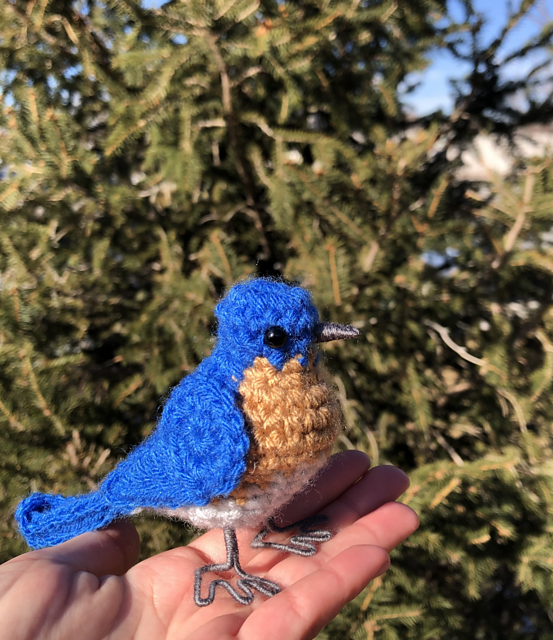 Ravelry: Eastern Bluebird Amigurumi Bird pattern by CrochetCartel Co