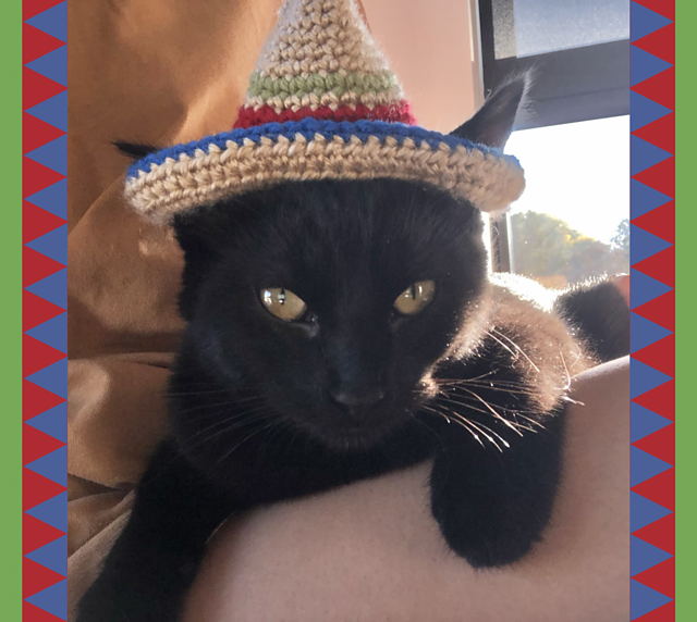 Ravelry Cat Sombrero Hat Pattern By CrochetCartel Co ravelry-cat-sombrero-hat-pattern-by-crochetcartel-co