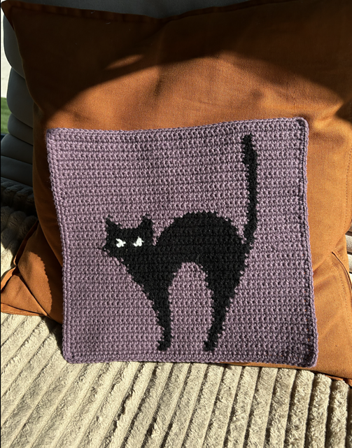 Ravelry: Scaredy Cat Halloween Tapestry pattern by CrochetCartel Co