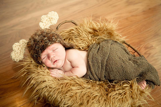 Ravelry: Moose Hat pattern by Tracy Draper