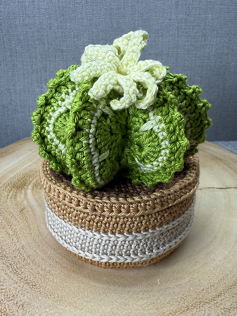 Ravelry: Ball Cactus pattern by Sarah Barratt
