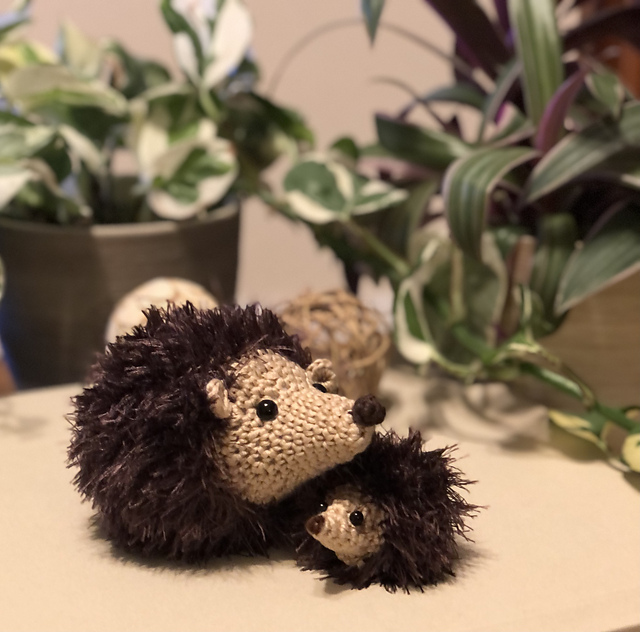 Ravelry: Henrietta and Henry Hedgehog pattern by Sarah Barratt