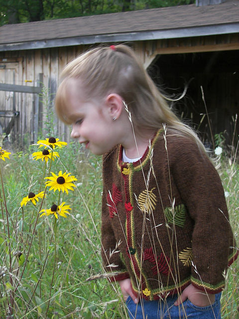 Ravelry: Autumn Leaves Jacket pattern by Jenny Snedeker