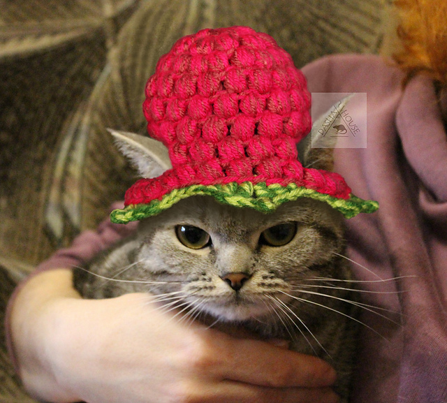 Ravelry: Raspberry hat for cat and small dog pattern by Alex Shapoval