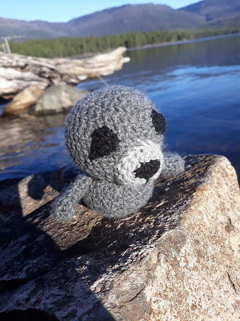 Ravelry: Sully Seal pattern by Tessa Knowles