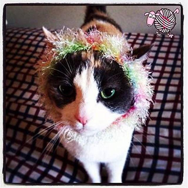 Ravelry: Kitty Cat Wig pattern by Debi Dearest