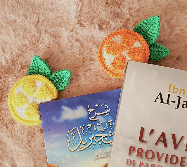 Ravelry: Lemon and Orange Bookmark pattern by Delilah Crochet