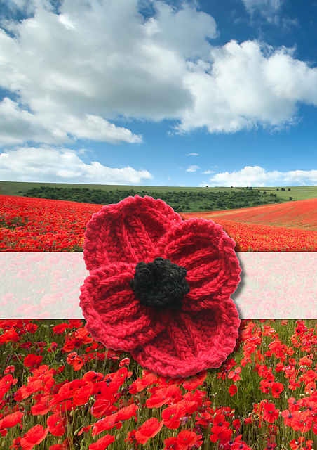 Ravelry: Remembrance Day Poppy pattern by Rosee Woodland
