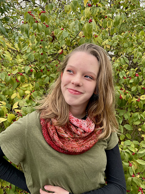 Ravelry: Speckle Smash Cowl pattern by Emily Rhoades