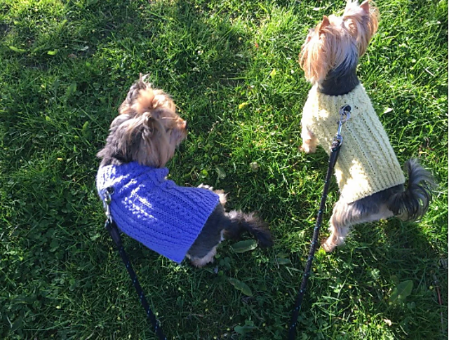 Ravelry: Yellow Dog Sweater pattern by Dotty Patterns