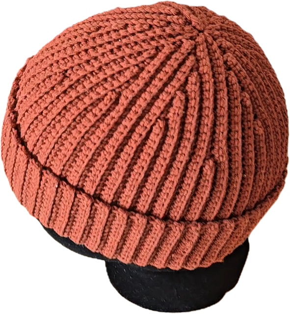 Ravelry Chameleon Beanie Pattern By Dramacrochet Annie Ravelry Chameleon Beanie Pattern By Dramacrochet Annie