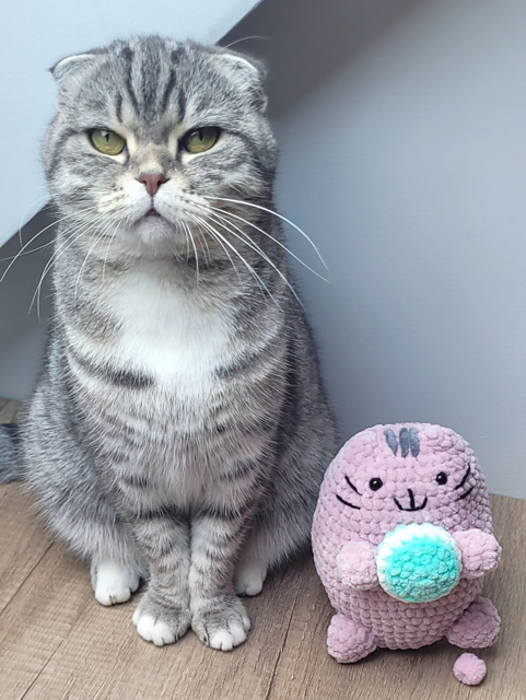 Ravelry: Fat Kitten Pusheen Cat with Macaron. pattern by Olga Burkovtseva