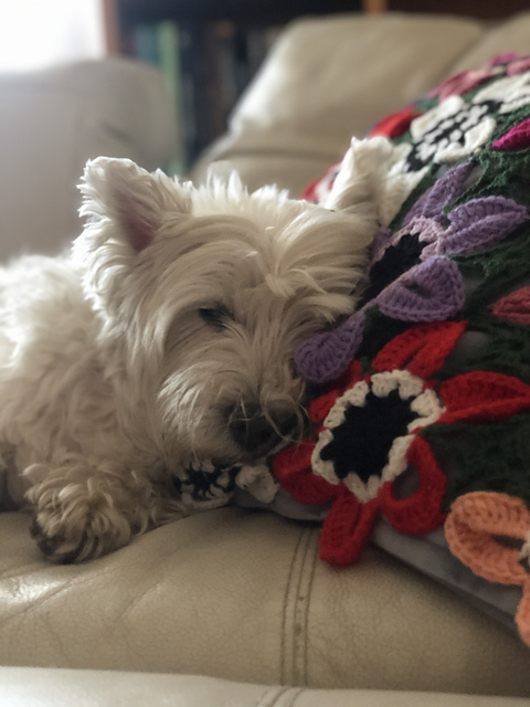 Ravelry: Elenalange's Hedvig