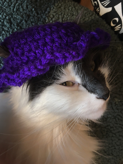 Ravelry: Cat hat pattern by Ellie Iris