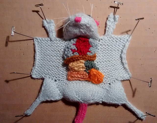 Ravelry: EllyMayy's Lab Rat