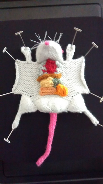Ravelry: EllyMayy's Lab Rat