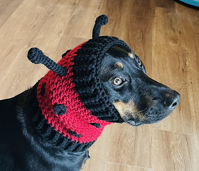 Ravelry: Dog Ladybug Snood pattern by Sarah Petersen